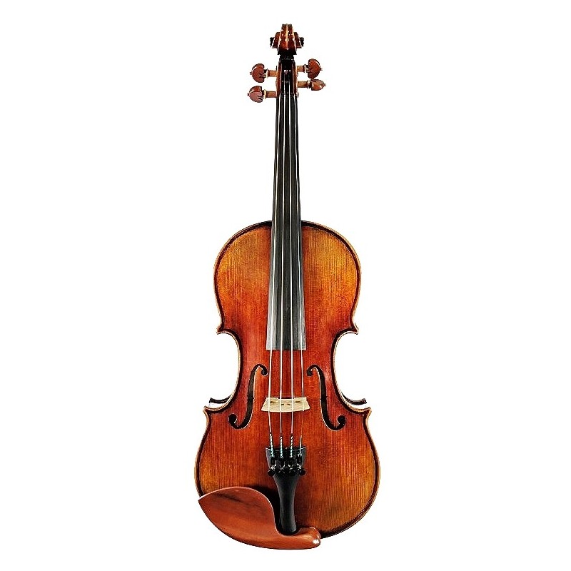 Violin Model B